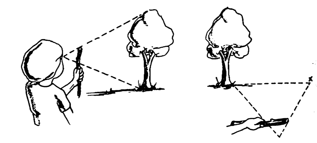 Measuring Lesson 2 – Lutheran Pioneers