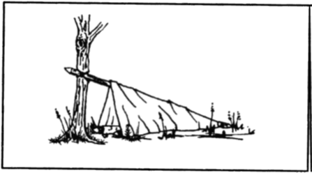 Wilderness Survival Lesson 2: Shelters – Lutheran Pioneers